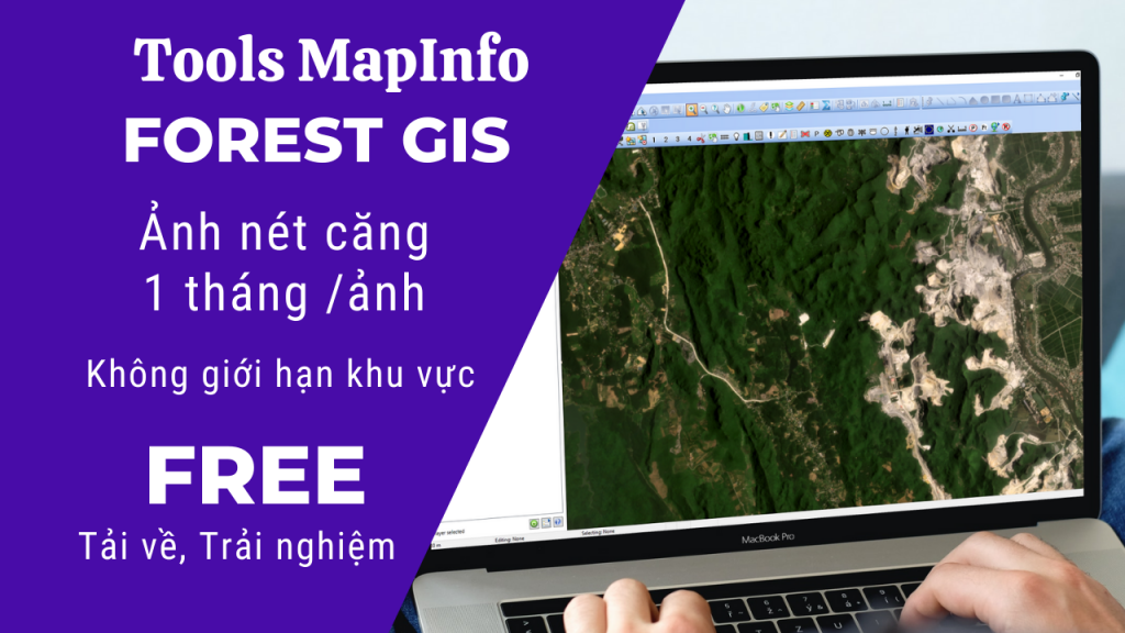 Forest GIS tools Mapinfo – Bản Đồ Lâm Nghiệp
